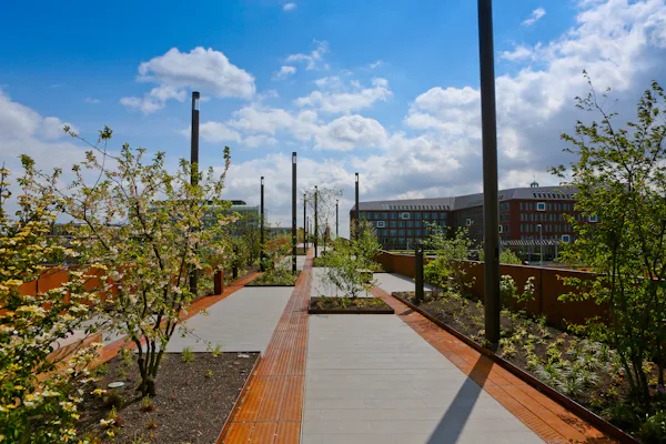 Brug als een park geopend in Den Bosch