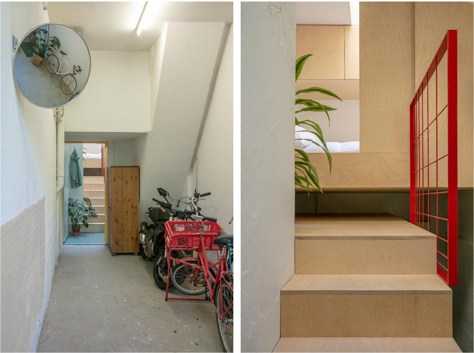 Bedstede voor de kroegtijger