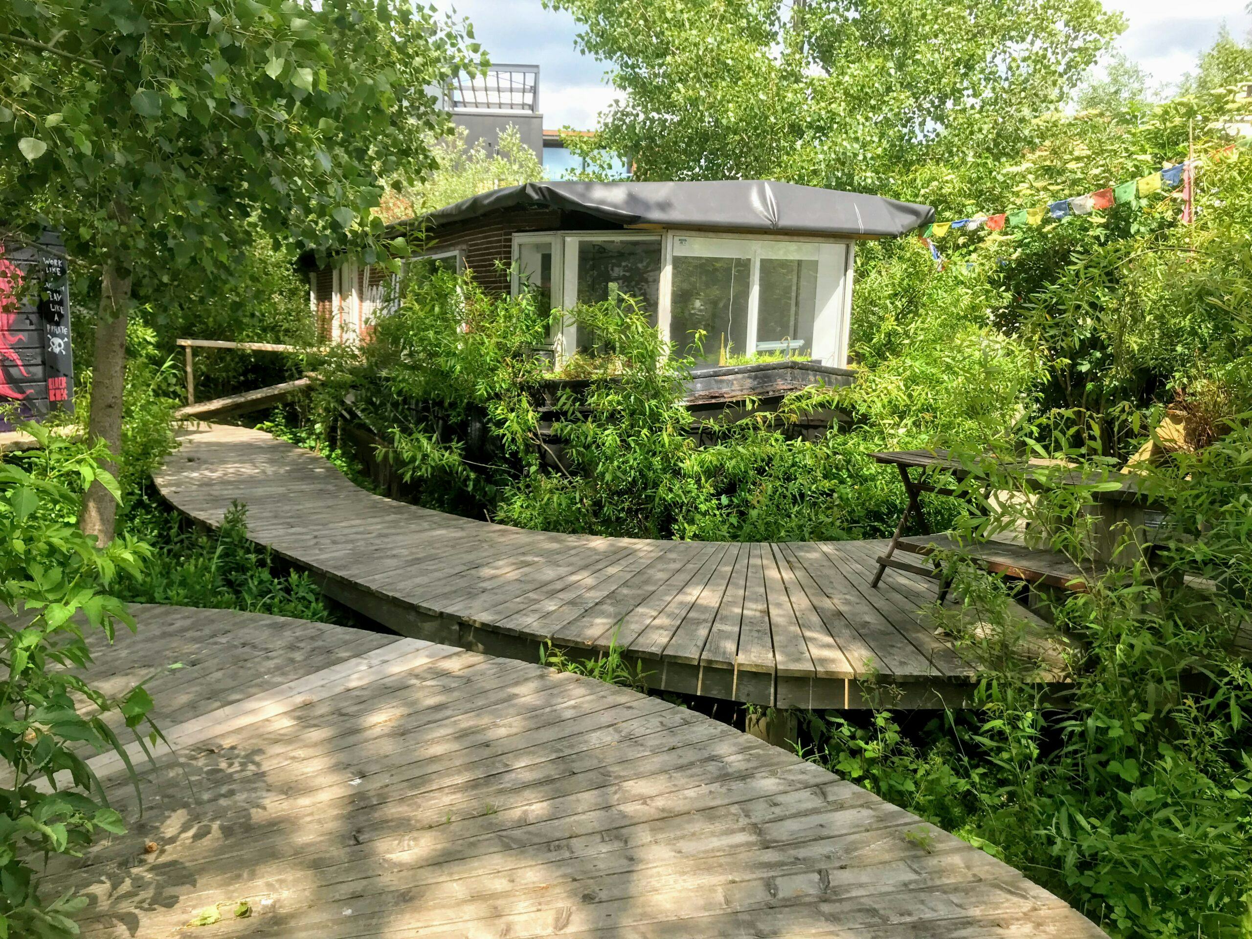 10 jaar De Ceuvel: van oude scheepswerf tot Zoöp