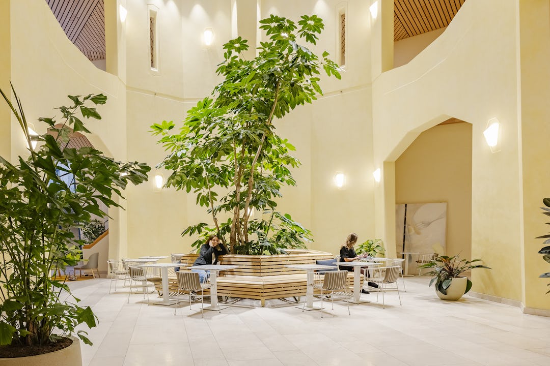 Max van Huut 'blij verrast' door blended-use transformatie het ...