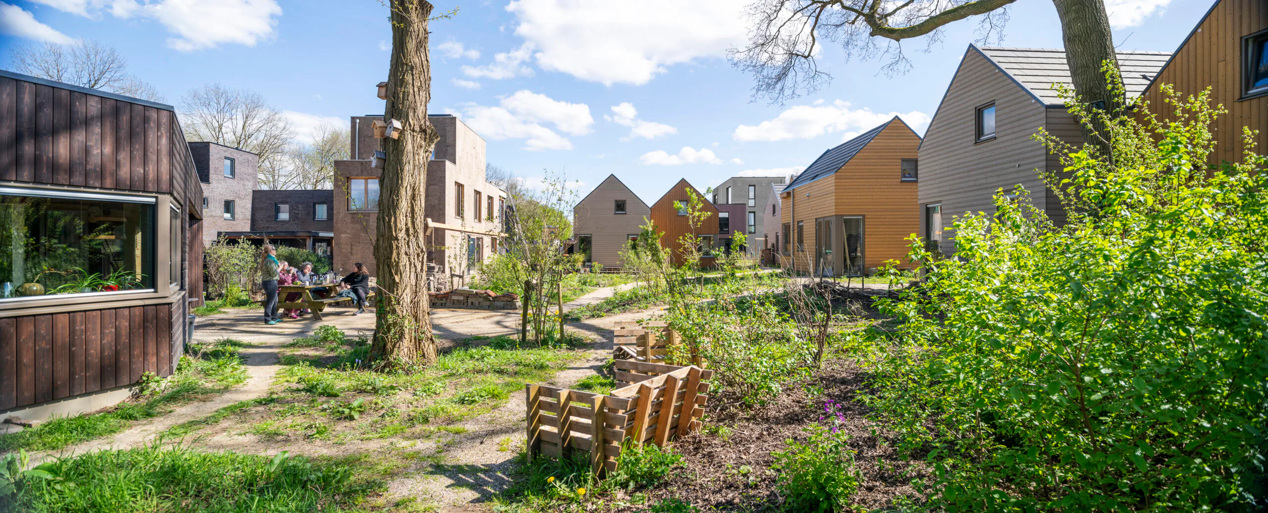 Tiny cohousing-project door Woonpioniers zet landschap voorop: 'Vrij ...
