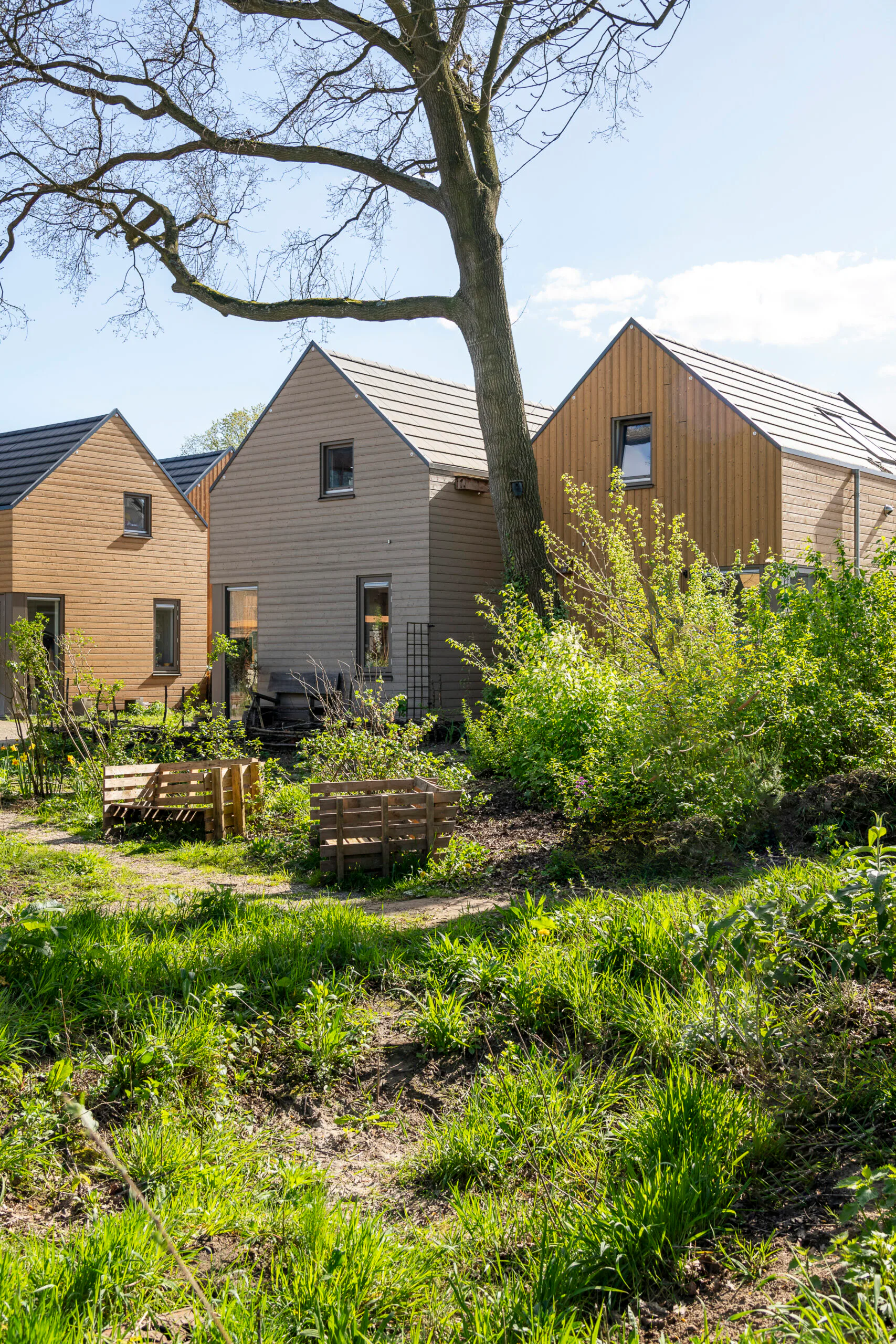 Tiny cohousing-project door Woonpioniers zet landschap voorop: 'Vrij ...